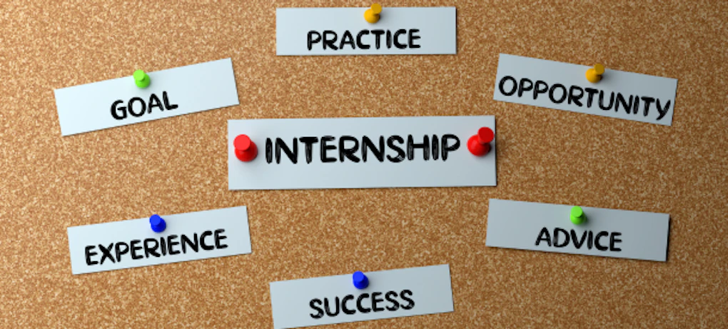 Internship Opportunities | Safe Harbor